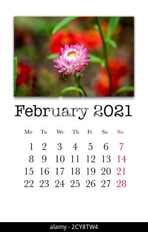 Calendar card for the month of February 2021 Stock Photo - Alamy