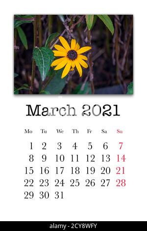 Calendar card for the month of March 2021 Stock Photo - Alamy