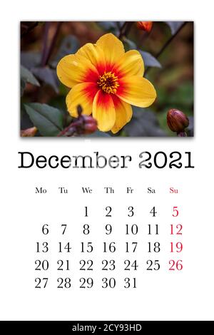 Calendar planner for the month december 2021, deadline day, 21, tuesday ...