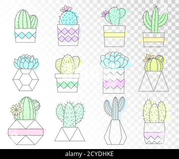 potted cactus boho style Stock Vector Image & Art - Alamy