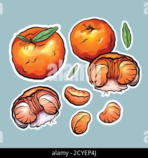 Tangerine cartoon vector illustration set Stock Vector Image & Art - Alamy