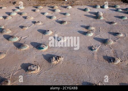 Victory Arch, Baghdad, Iraq, Middle East Stock Photo - Alamy