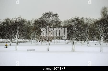The snow falls in the Clapham Common area and the toboggans are out ...