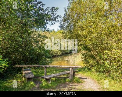 Pond in Meeth Quarry Nature Reserve, Devon, UK Stock Photo - Alamy