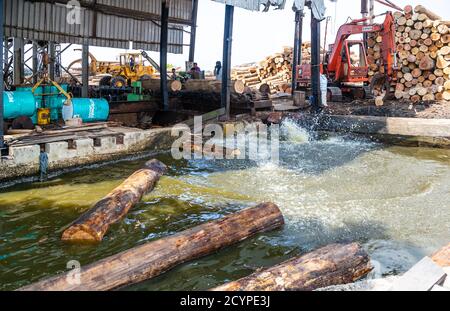 Log pond of a plywood factory in Sandakan, Sabah, Malaysia. The timber ...