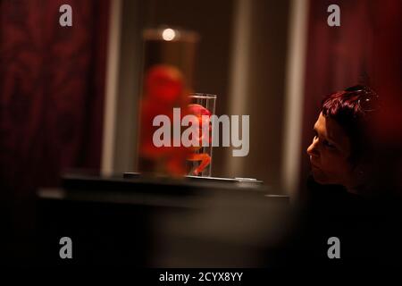 Bodies Revealed exhibition Stock Photo - Alamy