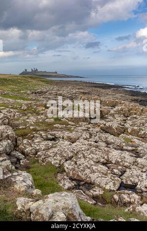 Craster Harbour and Dunstanburgh Castle. Craster, Northumberland, UK ...