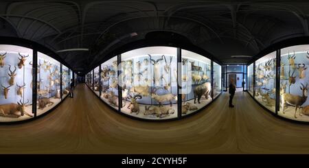 360° view of Natural History Museum - Alamy