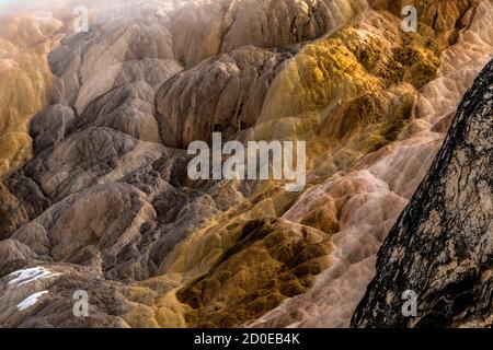 autumn and wintry pictures of the landscapes and wildlife of ...