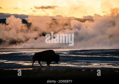 autumn and wintry pictures of the landscapes and wildlife of ...