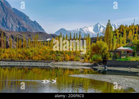 Phander Lake is situated in the Phander Village, in Koh-i-Ghizer ...