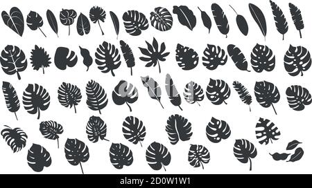 Trapezoid silhouette vector art white background Stock Vector Image ...