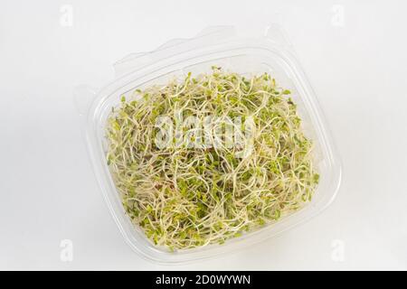 Potomac Sprout Company Organic Alfalfa Sprouts Stock Photo - Alamy
