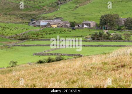 Ravenseat Farm, a Yorkshire Dales sheep farm and home to The Yorkshire ...