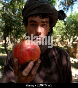 (201004) -- KANDAHAR, Oct. 4, 2020 (Xinhua) -- An Afghan farmer ...