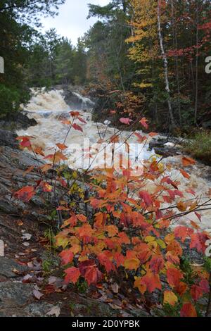 Duchesney Fall, North Bay, in autumn with fall colours and rapids Stock ...