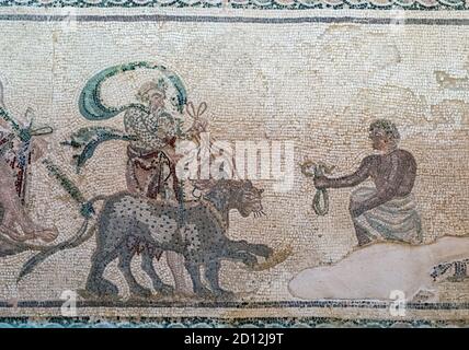 The House of Dionysus mosaics, Paphos Archaelogical park, Cyprus: The ...