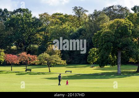 Autumn in Springfield Park London UK Stock Photo - Alamy