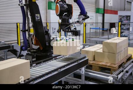 Industrial robot arm loading carton on conveyor in manufacturing ...