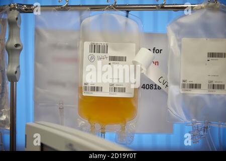 NHS blood donor centre Plasma donation, Plasma the largest single ...