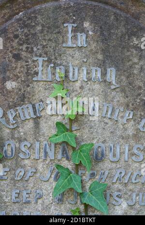 In Loving Memory of inscription on a cross shaped headstone Stock Photo ...