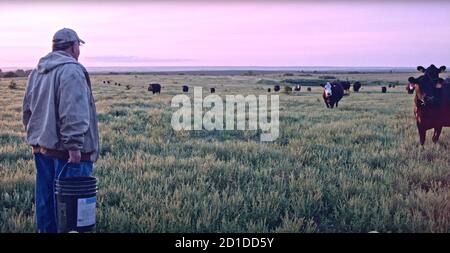 THE DISRUPTED, Donn, a third generation farmer struggling to hold on to ...