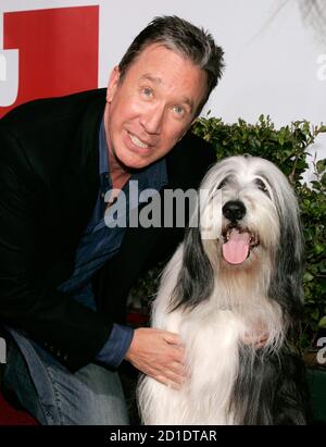 THE SHAGGY DOG Premiere Stock Photo - Alamy