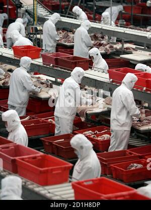 Meat processing plant. Group of workers working at a chicken factory ...