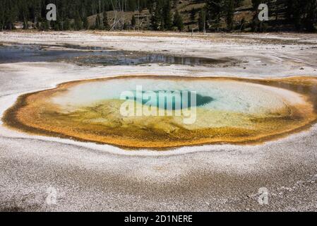 Chromatic Spring, Upper Geyser Basin, Yellowstone National Park ...