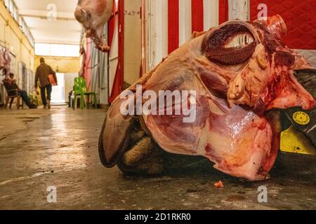 craneo de cordero descarnado, Rich, Marruecos, Africa Stock Photo - Alamy