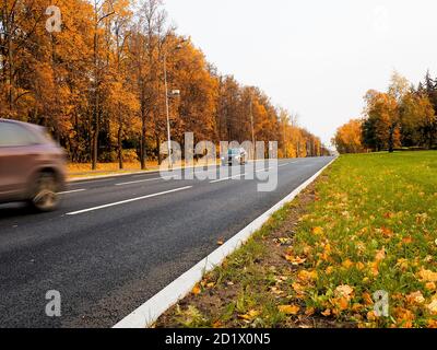 Asphalt road with fallen leaves inl autumn forest. Focus on foreground ...