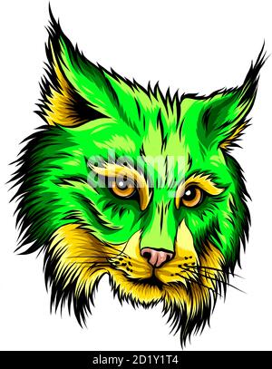 The illustration shows an angry bobcat face. The wild animal has sharp ...