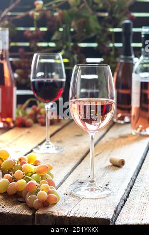 Rose wine bottle and grapes. Outdoor in the vineyard. With space for ...