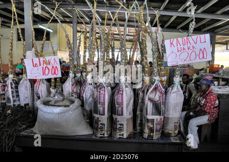 Wrapped Fijian vegetables called a 'Kava'. Its roots are used to ...