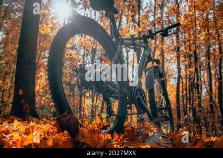 Photo of a close-up of a beautiful mountain waterfall illuminated by ...