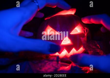 Women's blue hands with painted nails reach for a glowing evil pumpkin ...