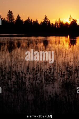 Gerber Reservoir, Gerber Reservoir Recreation Area, Oregon Stock Photo ...