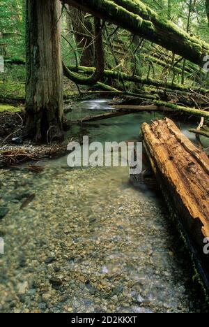 Little Silver Creek Lake, Siskiyou National Forest, Oregon Stock Photo ...