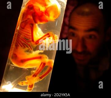 Human body systems Stock Photo - Alamy