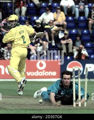New Zealand's Dion Nash, dives to stump Australia's Shane Lee, during ...