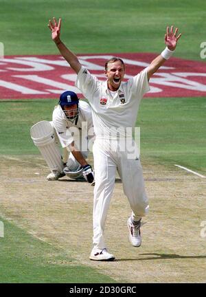 Allan Donald South African Fast bowler Cricket Stock Photo - Alamy