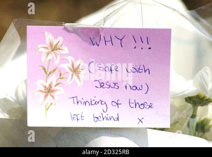 Family House/ PC Karl Bluestone Stock Photo - Alamy