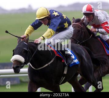 Pat Smullen on Vinnie Roe in the lead goes onto win the Jefferson ...
