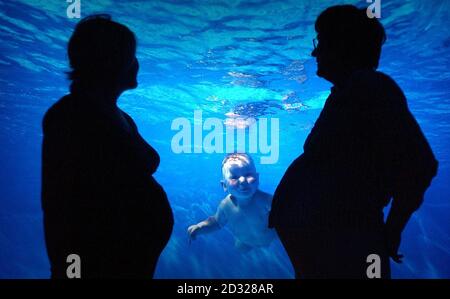 The Human Body Imax Stock Photo - Alamy