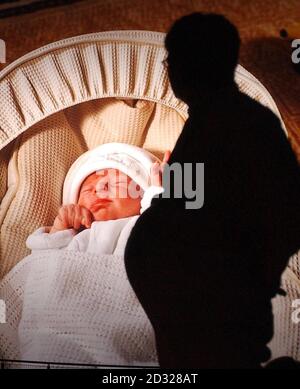 The Human Body Imax Stock Photo - Alamy
