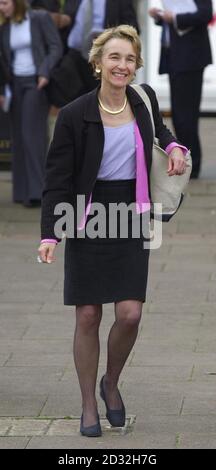 Artist Sarah Willetts Stock Photo - Alamy