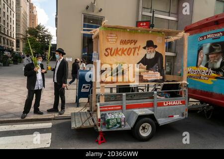 Lubavitchers set up a portable "sukkah-mobile", complete with etrogs ...