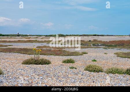 Dungeness is one of the largest expanses of shingle in Europe. Seen ...