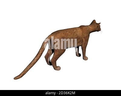 heavy muscular puma jumping Stock Photo - Alamy