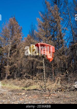 Lyon,OR ,September 29 2020 USA: The remains of newspaper holders ...